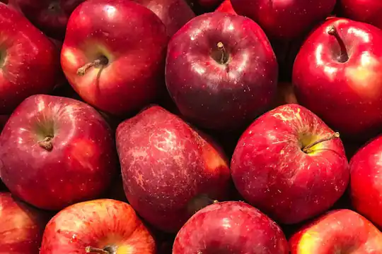 Candida auris on Apples: सेब की 'चमक और ताजगी' भी बन सकती है बीमारी की ...
